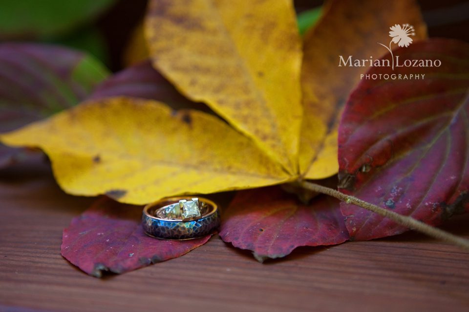Shannon & Luke - Married! |Fairfax, VA Wedding Photographer - Marian ...